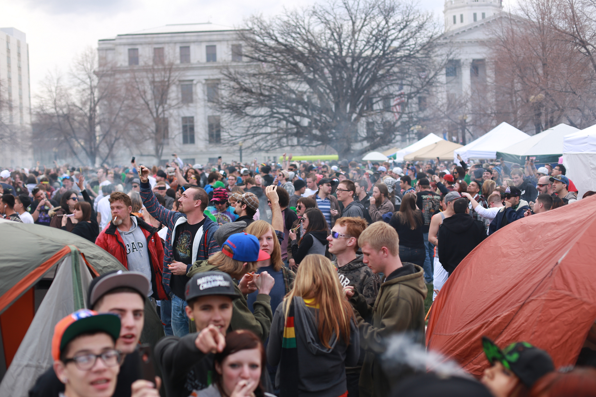 420: History and Evolution | PotGuide